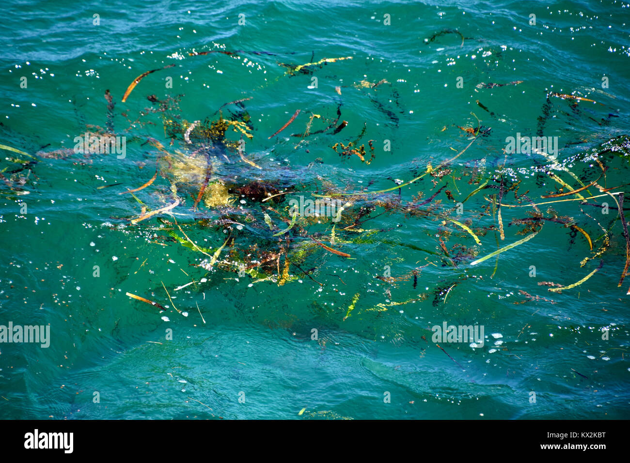 Australia water pollution hi-res stock photography and images - Alamy