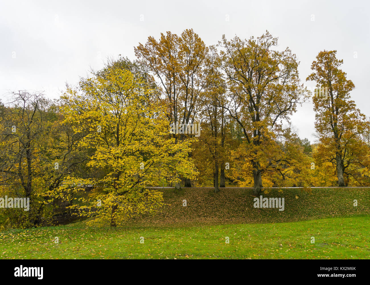 Autumn view in the park Stock Photo - Alamy