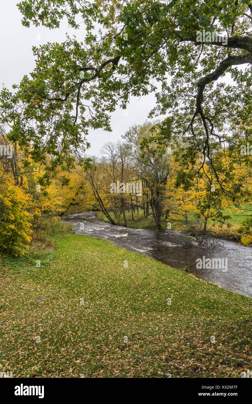 Autumn view in the park Stock Photo - Alamy