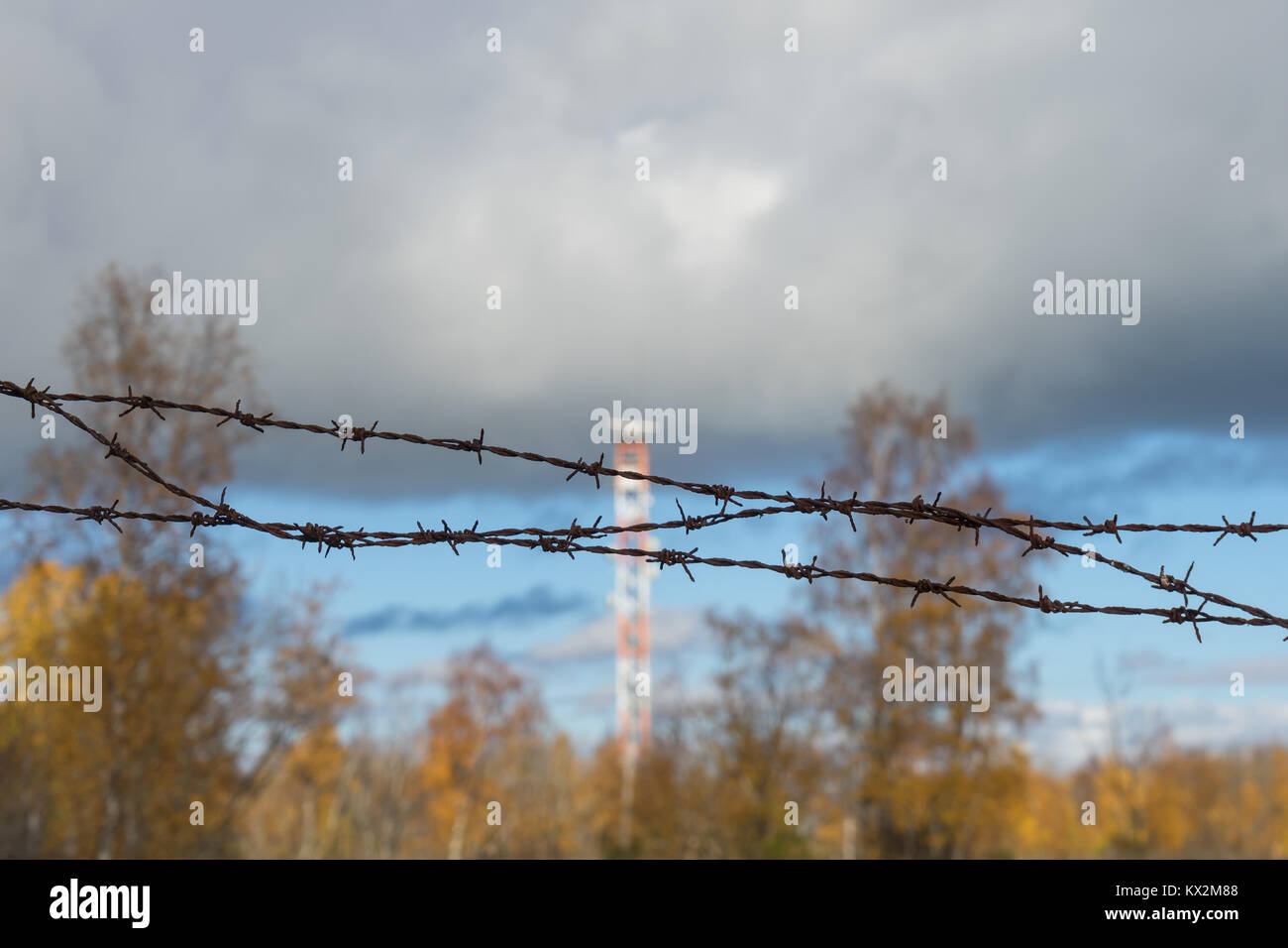 Barbed wire background Stock Photo - Alamy