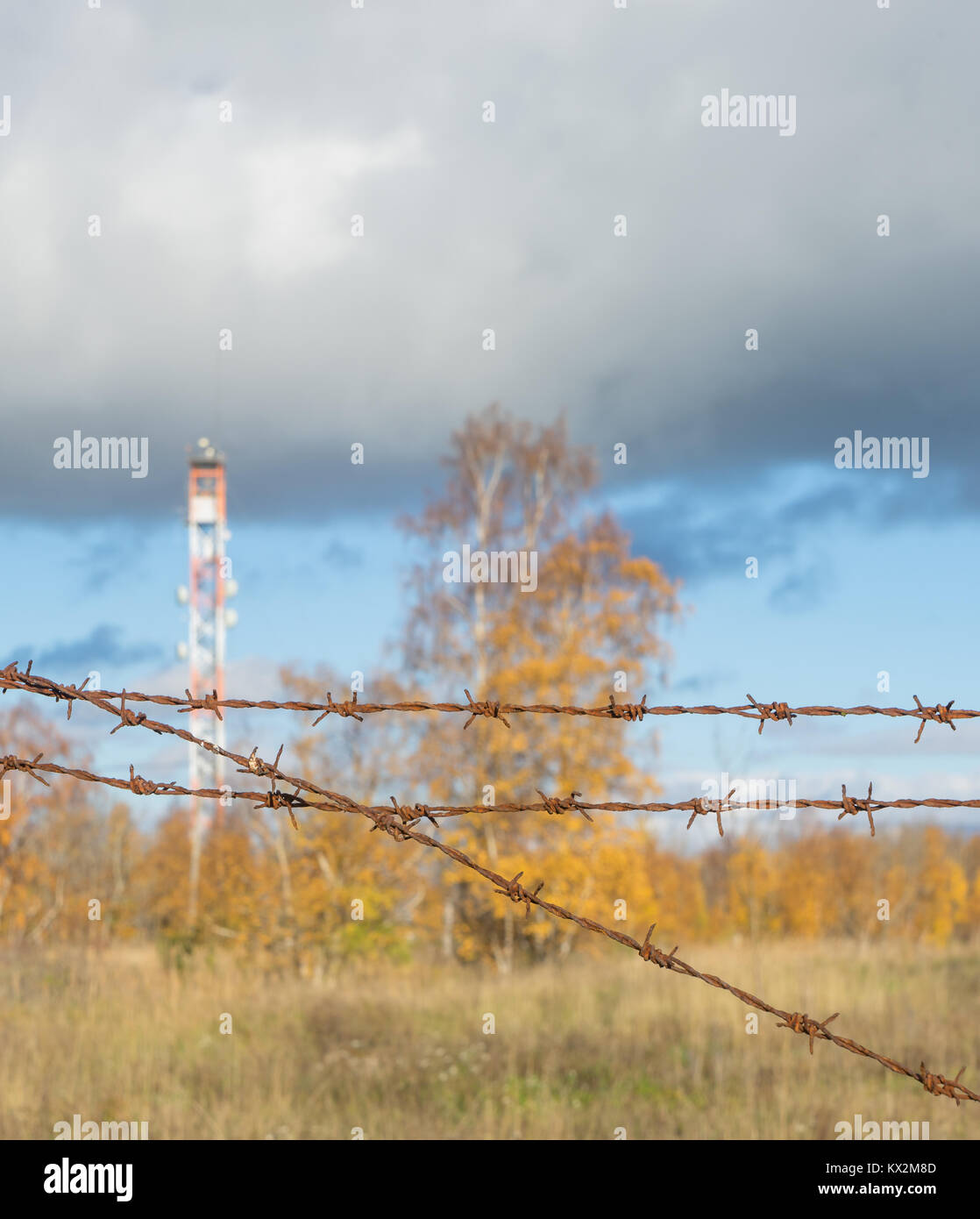 Barbed wire background Stock Photo - Alamy