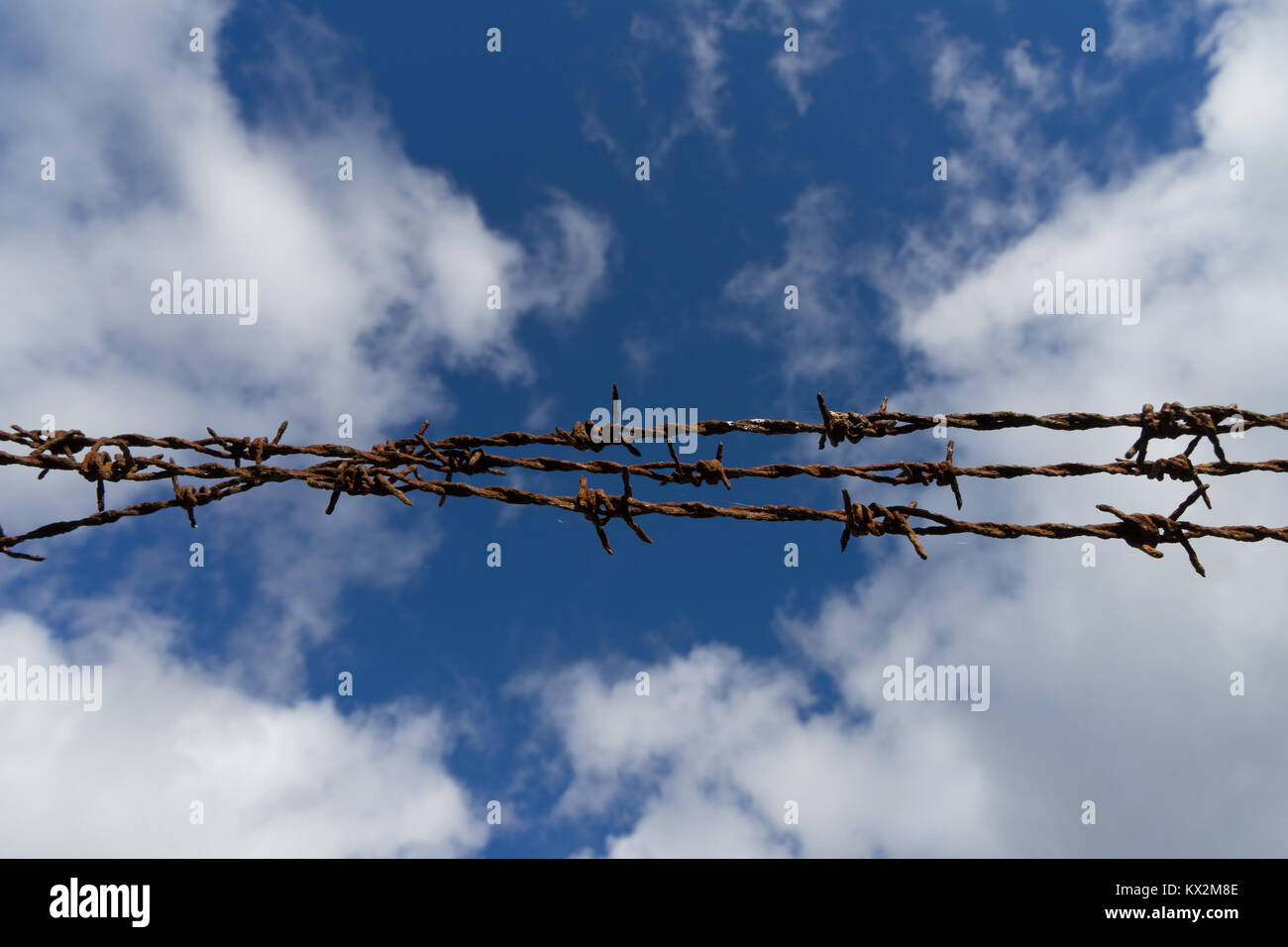 Barbed wire background Stock Photo - Alamy