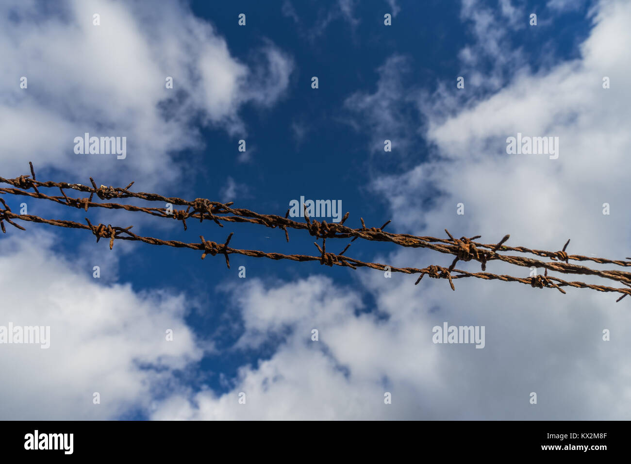 Barbed wire background Stock Photo - Alamy