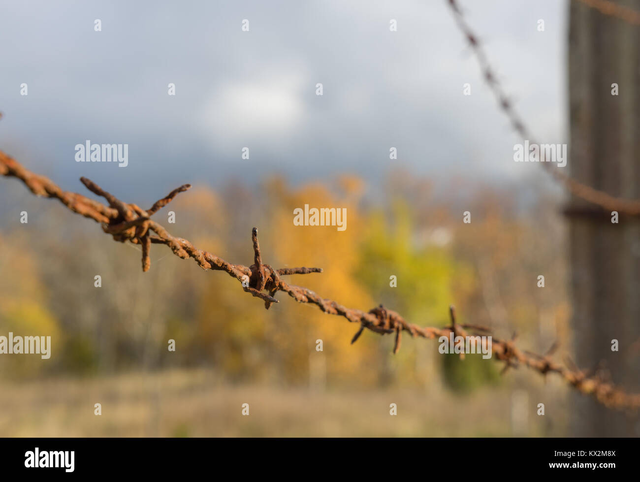 Barbed wire background Stock Photo - Alamy