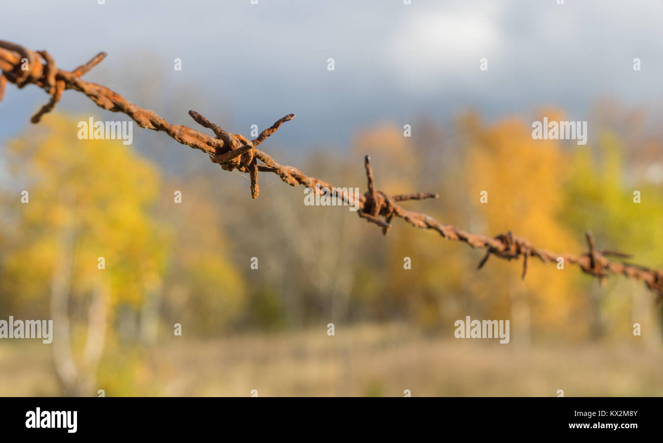 Barbed wire background Stock Photo - Alamy