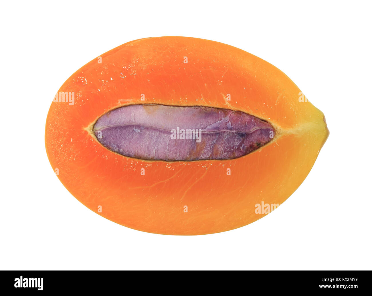 C macrophylla hi-res stock photography and images - Alamy