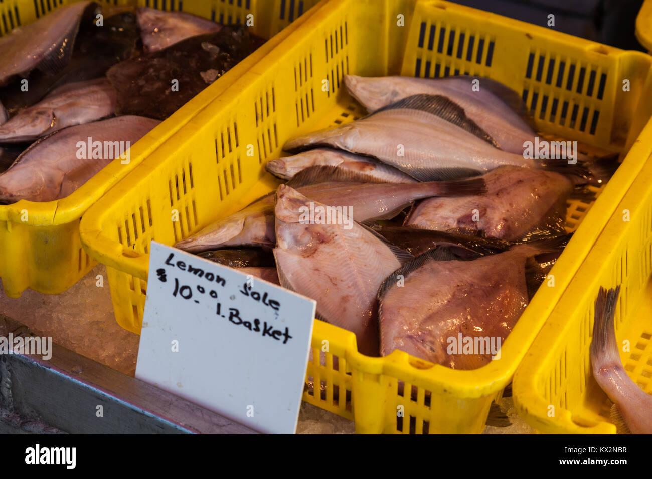 Yellow flatfish hi-res stock photography and images - Alamy