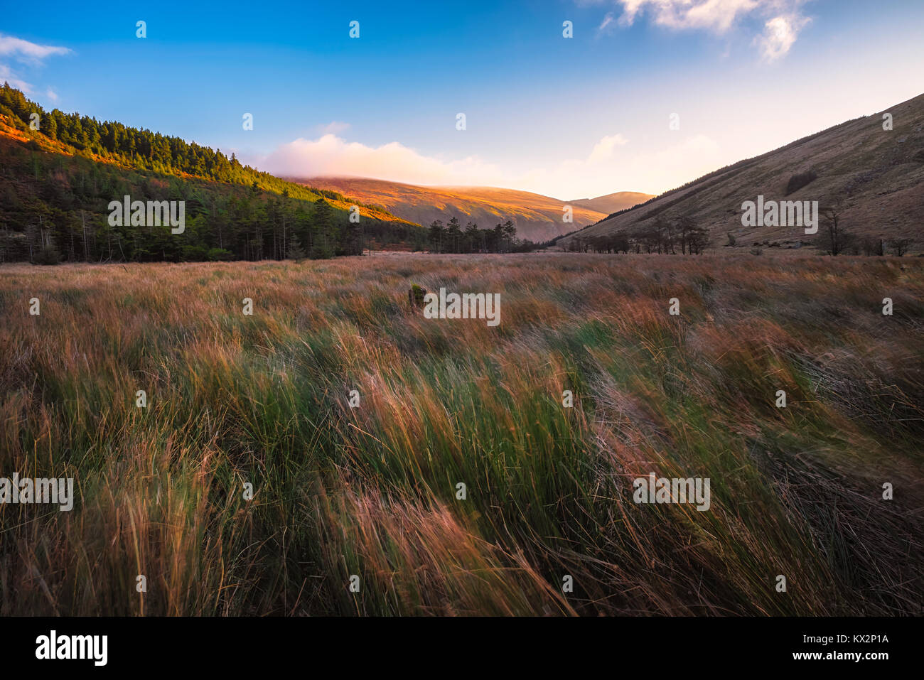 Landscape of Glenmalure in Wicklow Mountains - Ireland Stock Photo - Alamy