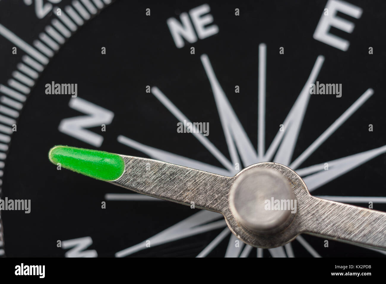 Rose Compass With Bearing