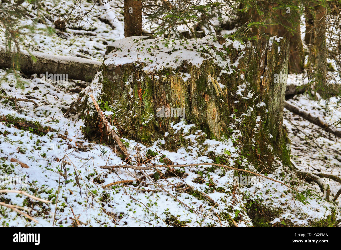 Winter landscape in Grossarl village, Austrian Alps Stock Photo - Alamy