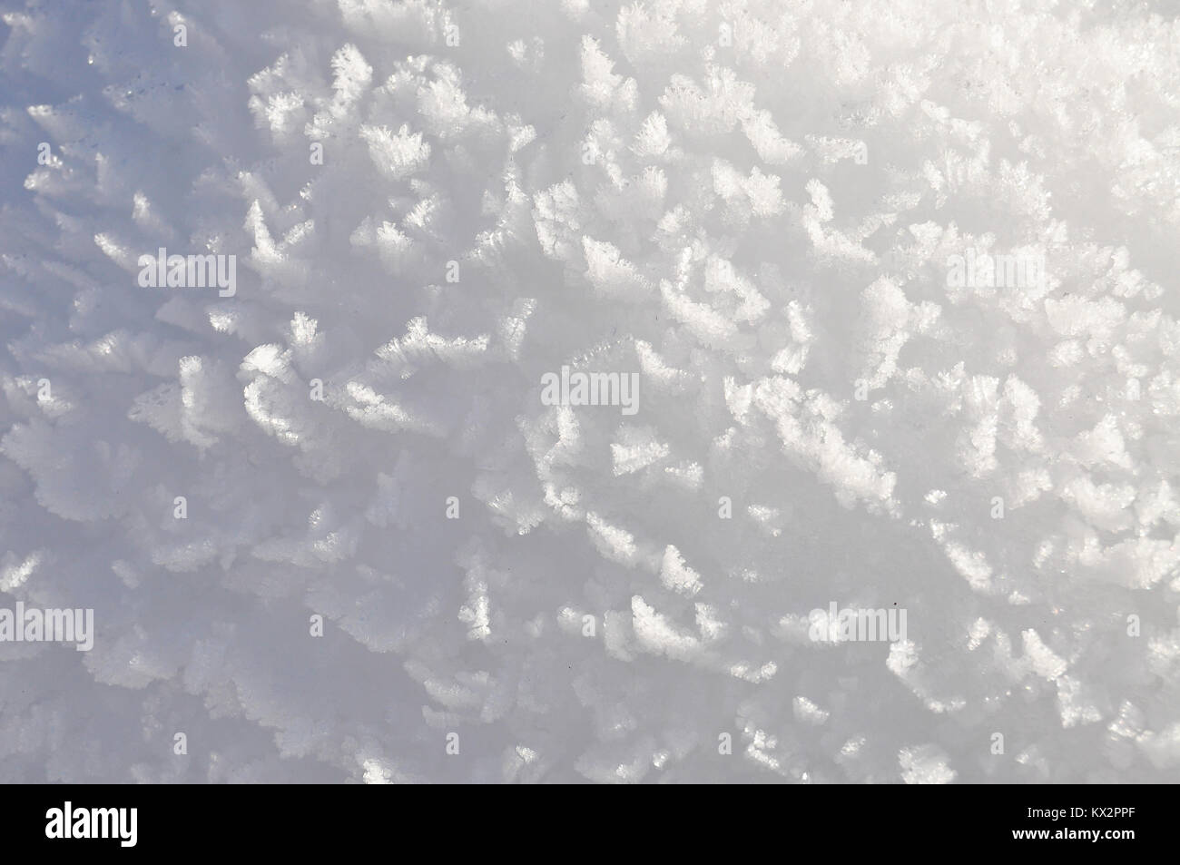 Seasonal freeze hi-res stock photography and images - Alamy