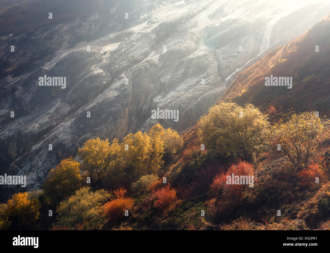 Picturesque view on beautiful trees on the hillside, colorful grass ...