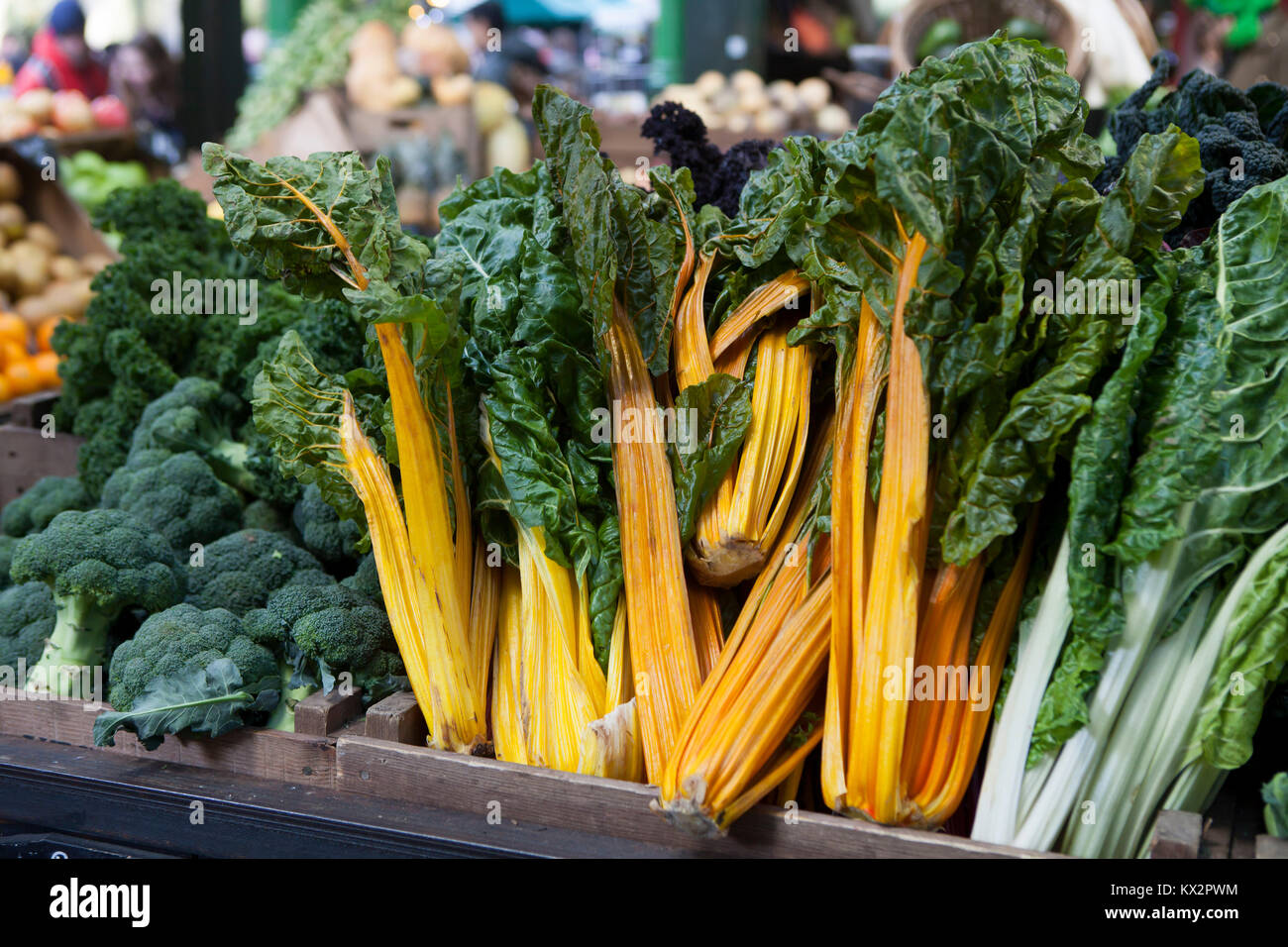 Multi-colored rainbow chard at local farm market Stock Photo - Alamy