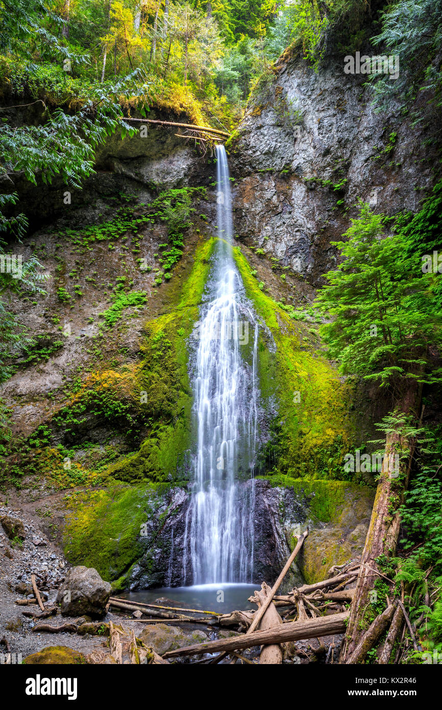 Marymere Falls, Olympic National Park, Washington, USA Stock Photo - Alamy