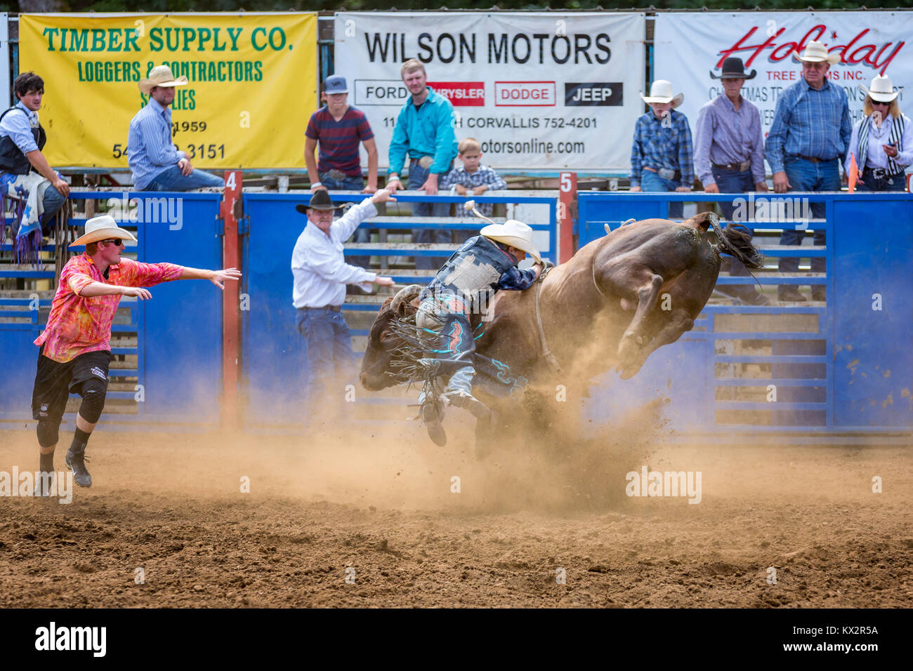 Rodeo stadium hi-res stock photography and images - Alamy