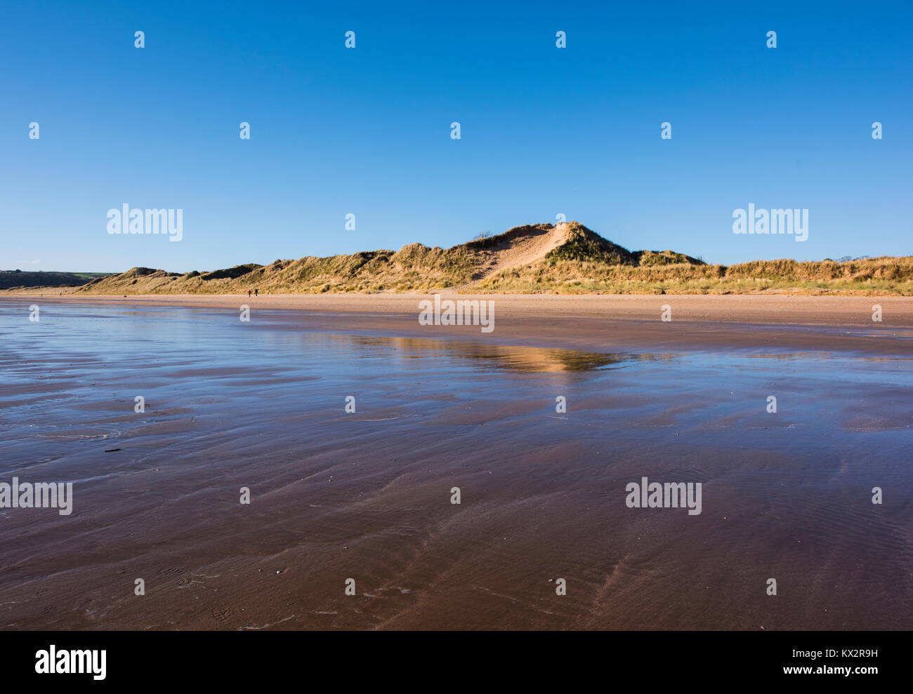 Dunes at Oxwich Bay, Gower Peninsular, South Wales, UK Stock Photo - Alamy