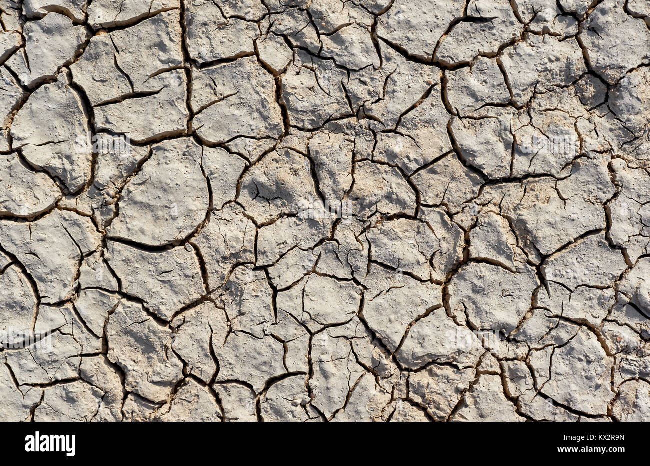 Texture of dry land close-up. Natural background Stock Photo - Alamy