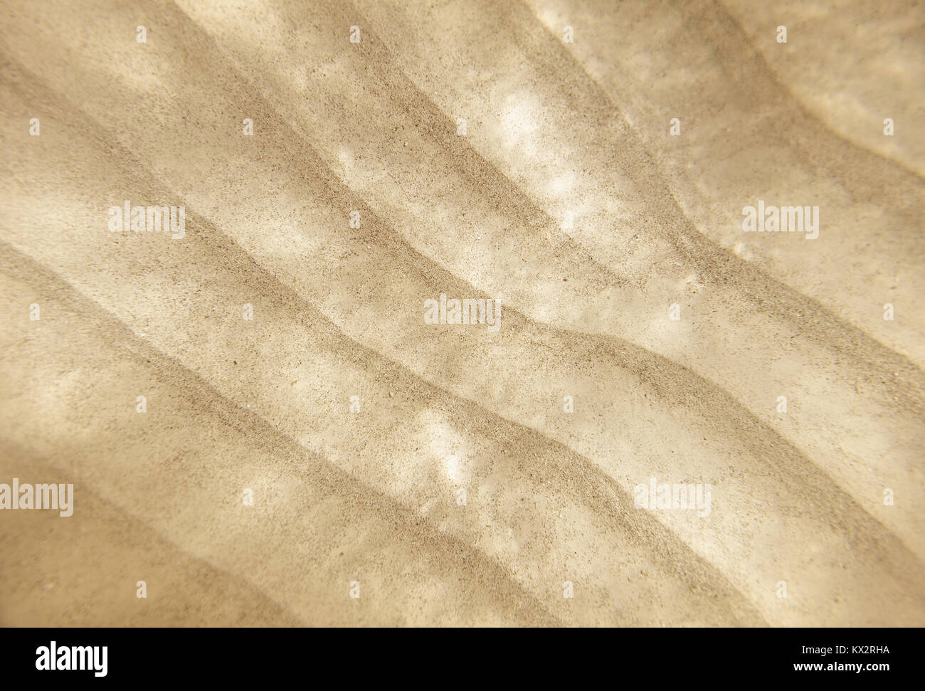 Underwater shells ocean sand hi-res stock photography and images - Alamy