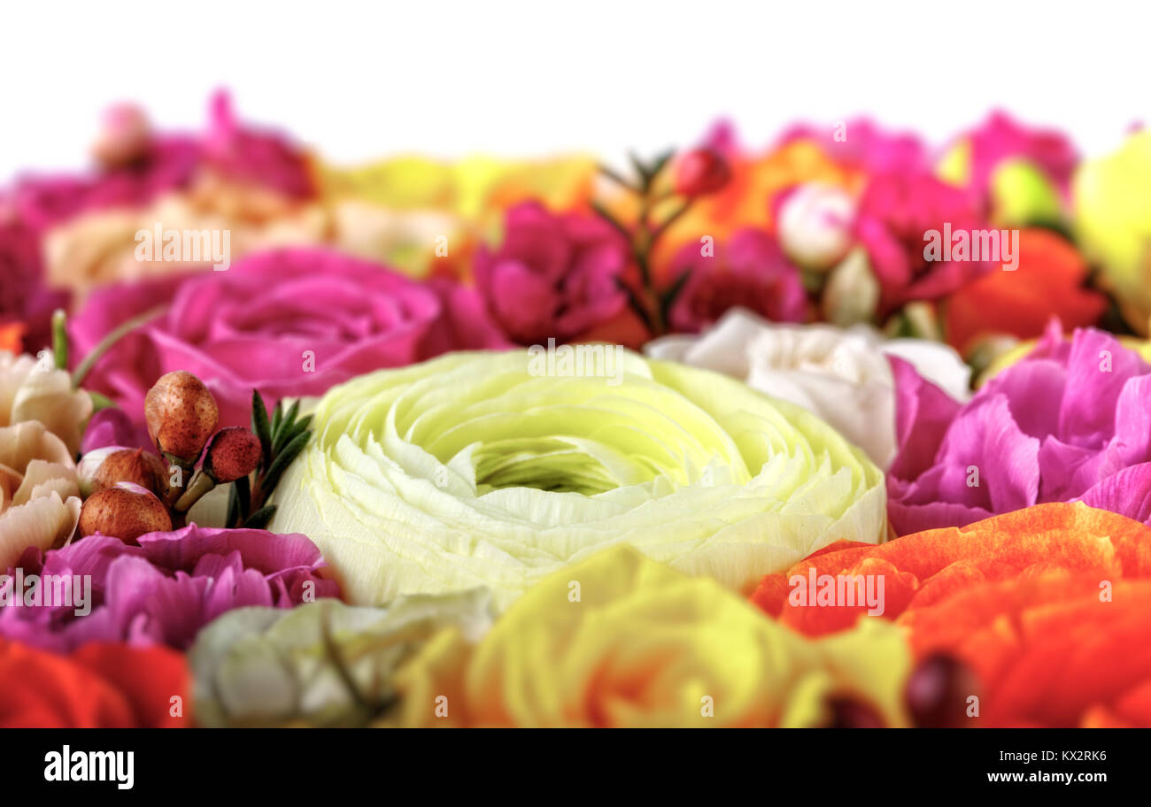 Flowers in a gift box. many of the flower buds Stock Photo - Alamy