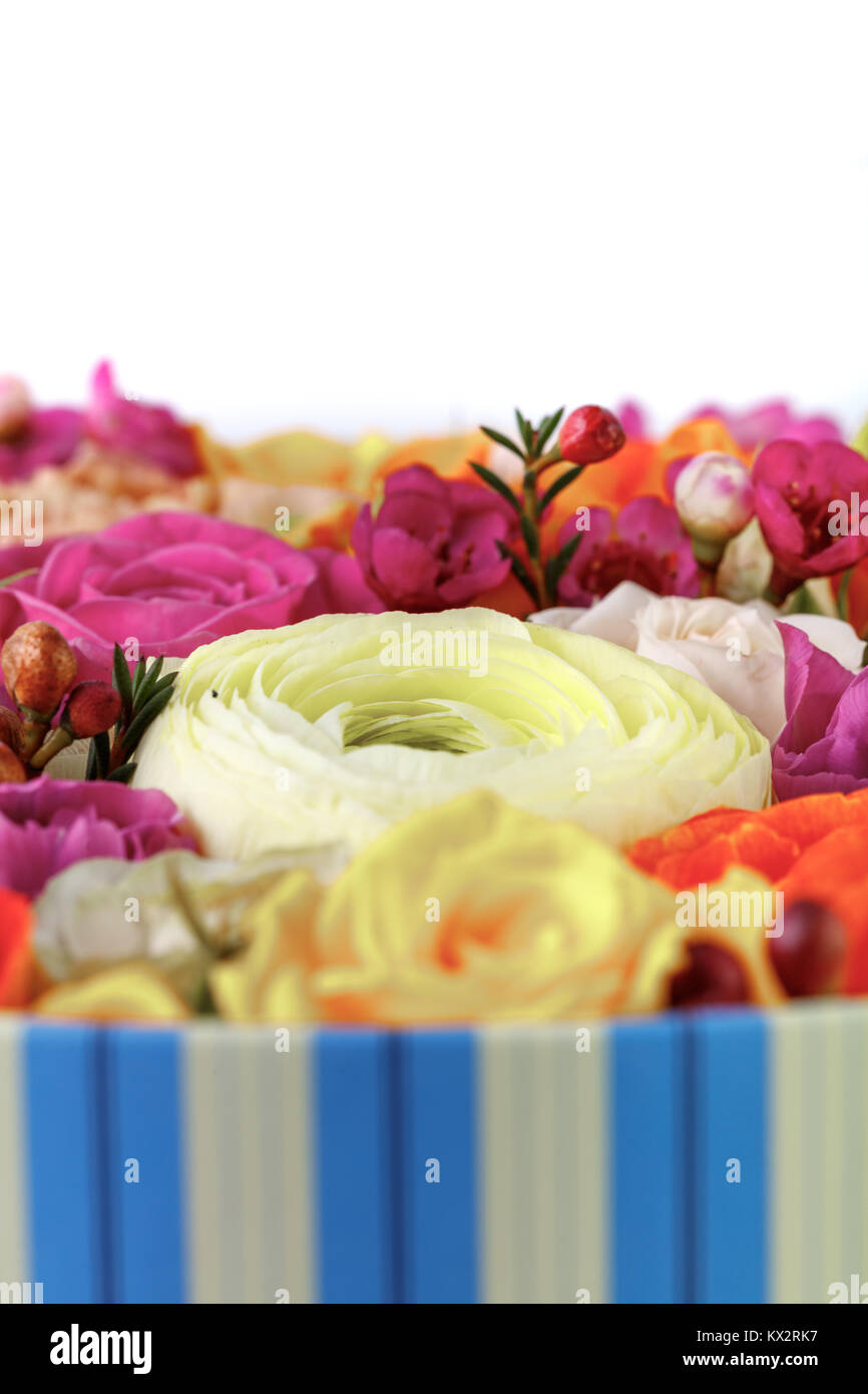 Flowers in a gift box. many of the flower buds Stock Photo - Alamy