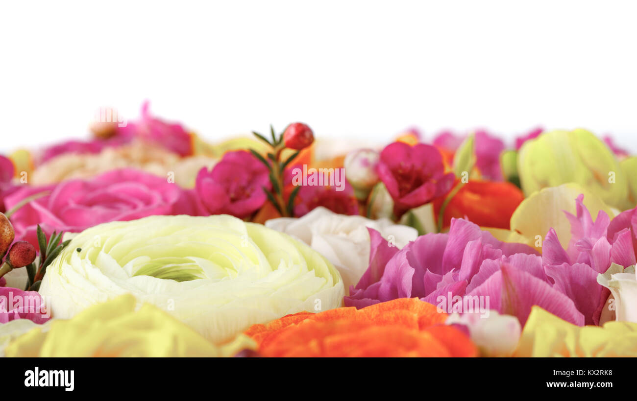 Flowers in a gift box. many of the flower buds Stock Photo - Alamy