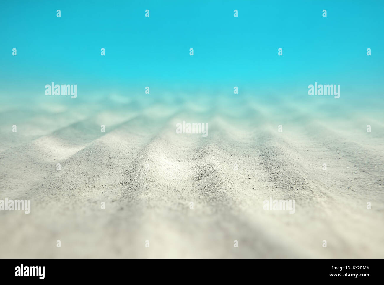 Transparent background underwater scene hi-res stock photography and ...