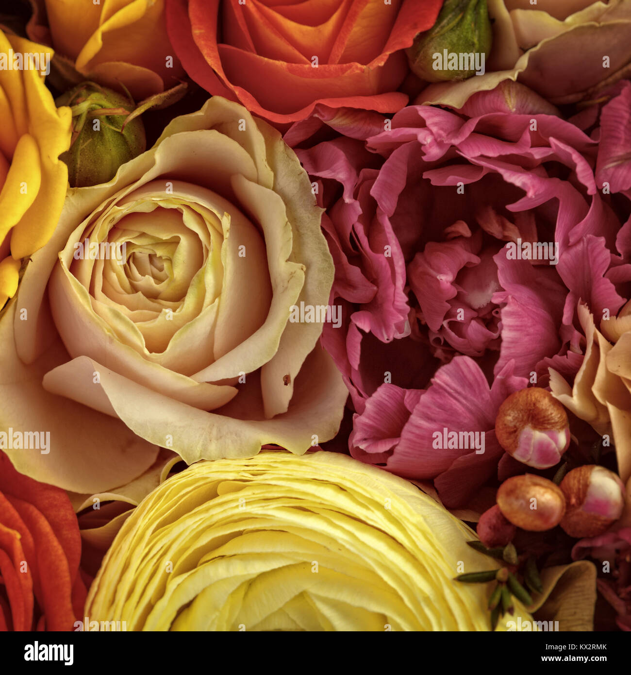 Floral background, colorful flowers buds Stock Photo - Alamy