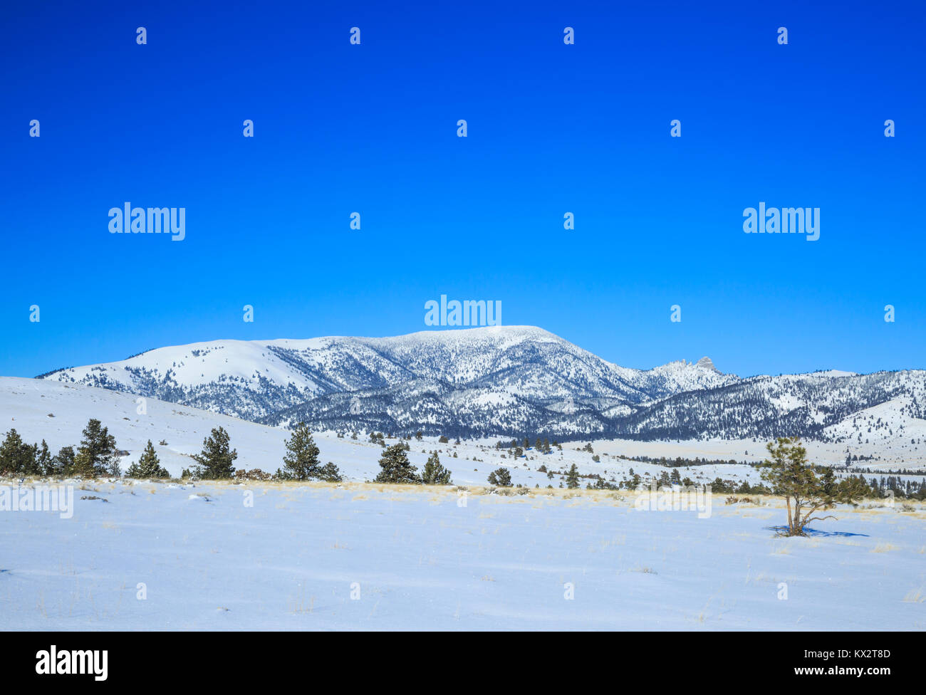 sleeping giant mountain in winter near helena, montana Stock Photo - Alamy