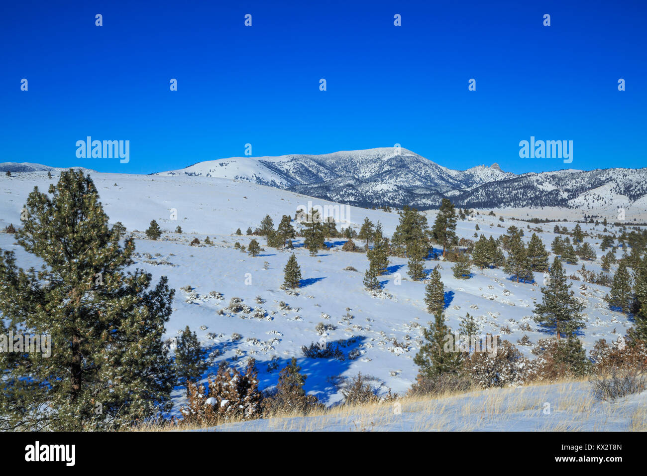 sleeping giant mountain in winter near helena, montana Stock Photo - Alamy