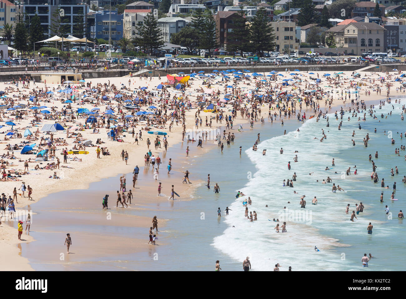 Busy bondi beach on summer hi-res stock photography and images - Alamy