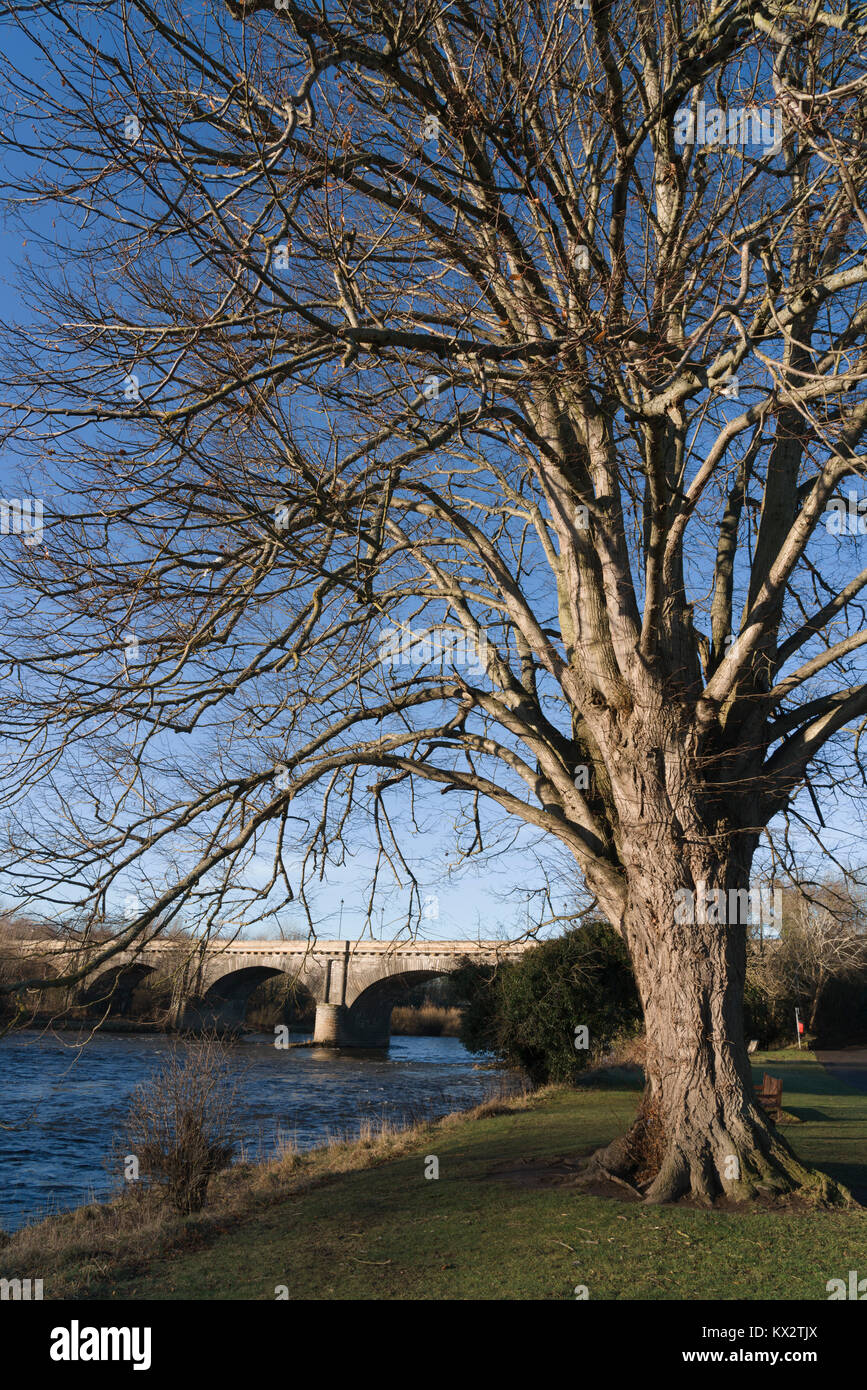 Kelso, Scottish Borders, UK - the bridge over the river Tweed, by John ...