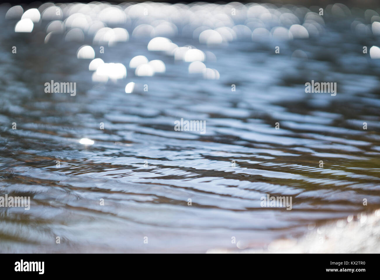 Reflection of pond, Yoyogi Park, Shibuya-Ku, Tokyo, Japan Stock Photo ...