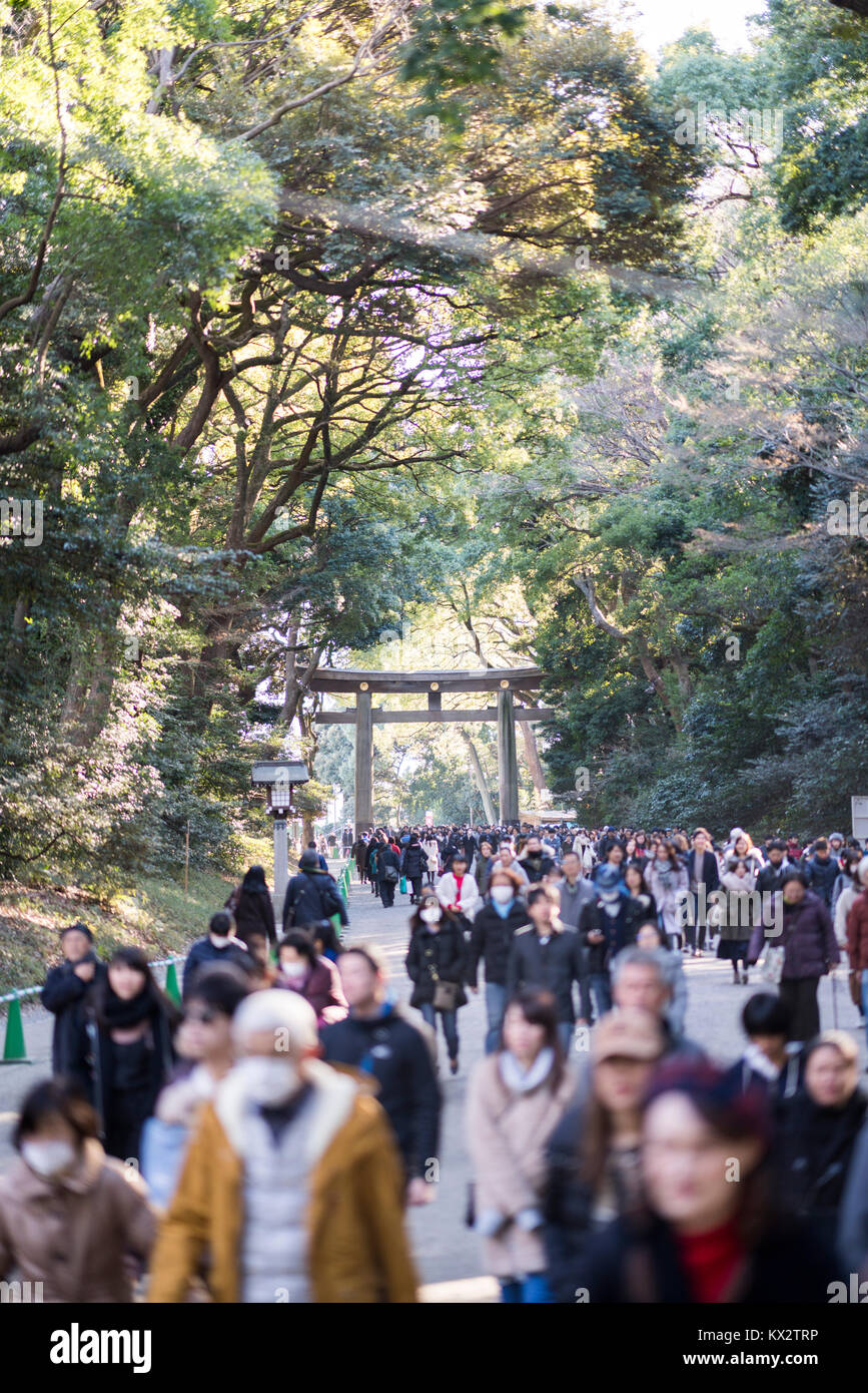 Hatsumode, Meijijingu Shrine, Shibuya,Tokyo,Japan Stock Photo - Alamy