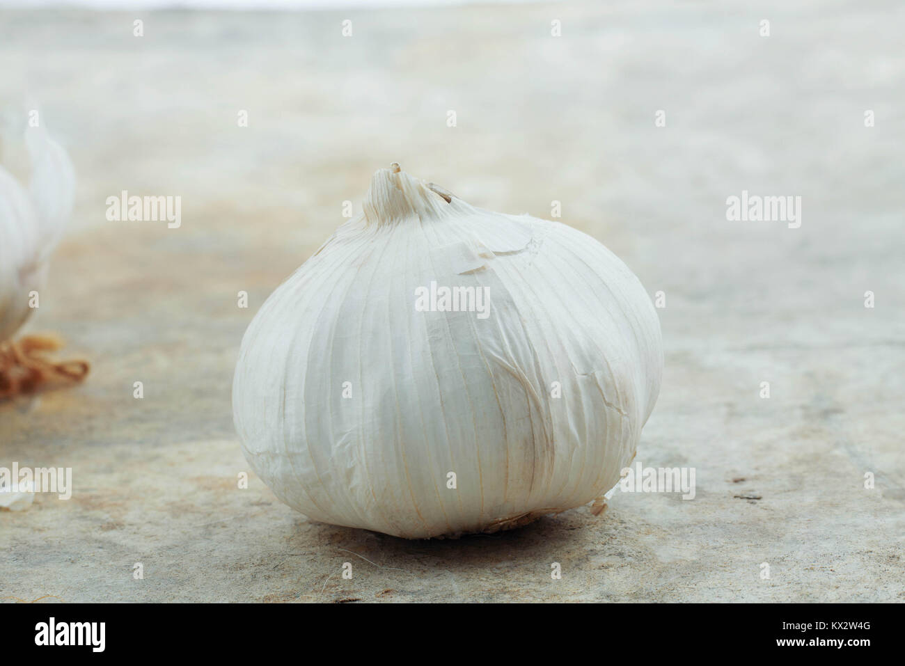 Dried garlic on cement floor Stock Photo - Alamy