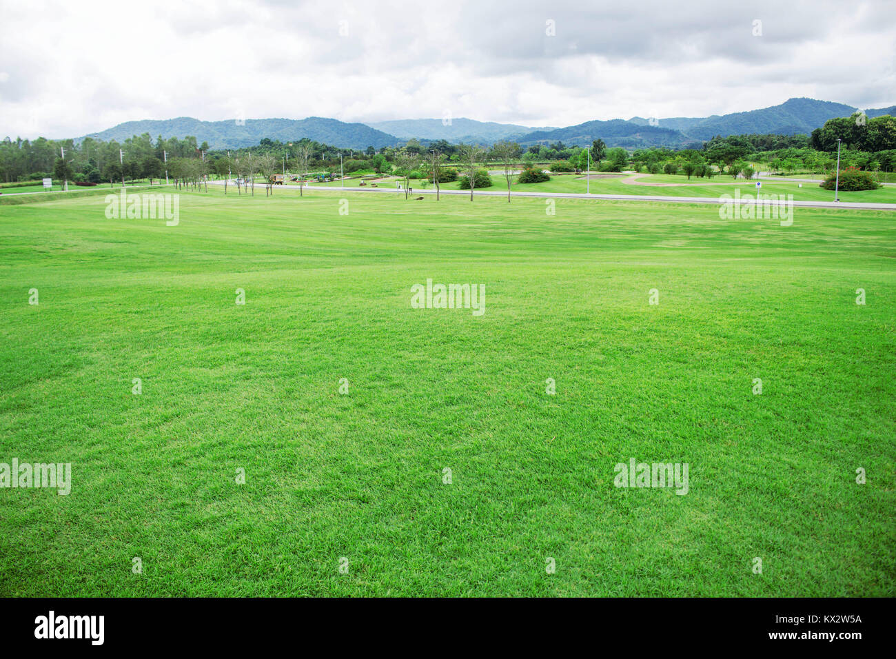 Green lawn on a natural background Stock Photo - Alamy