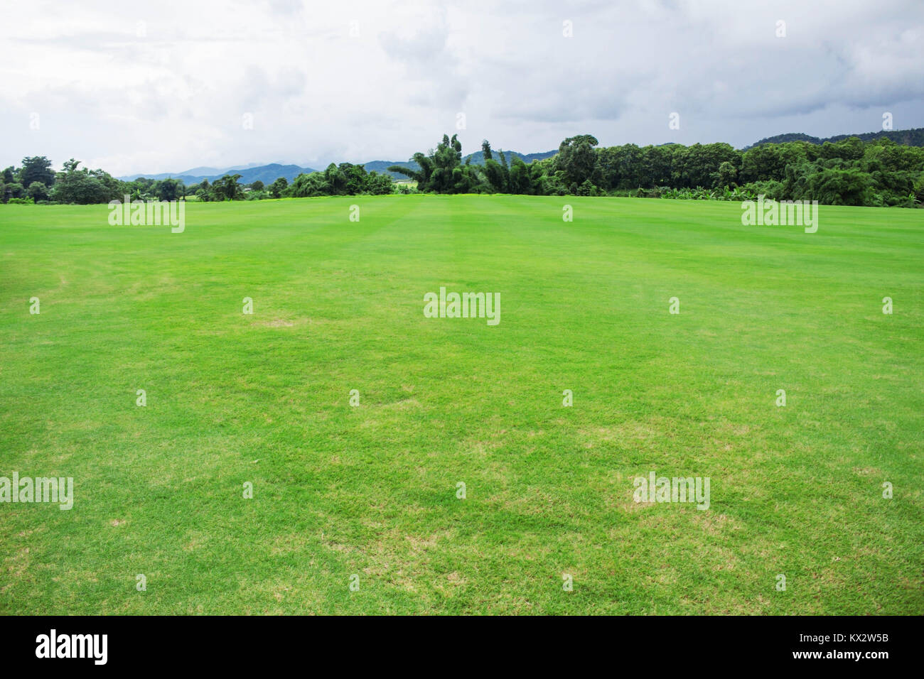 Natural and lawn with the sky background Stock Photo - Alamy