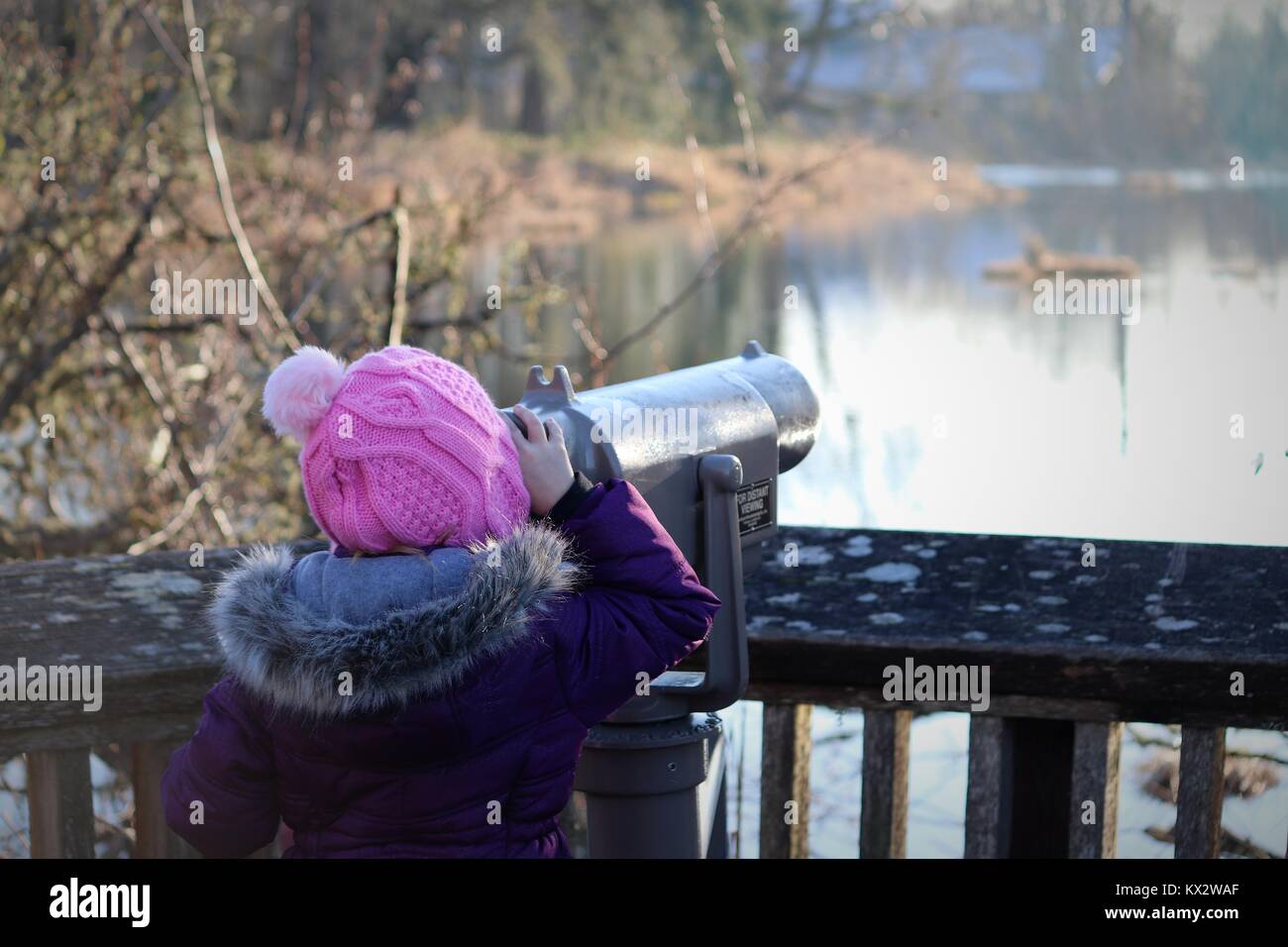 Young girl bird watching Stock Photo - Alamy