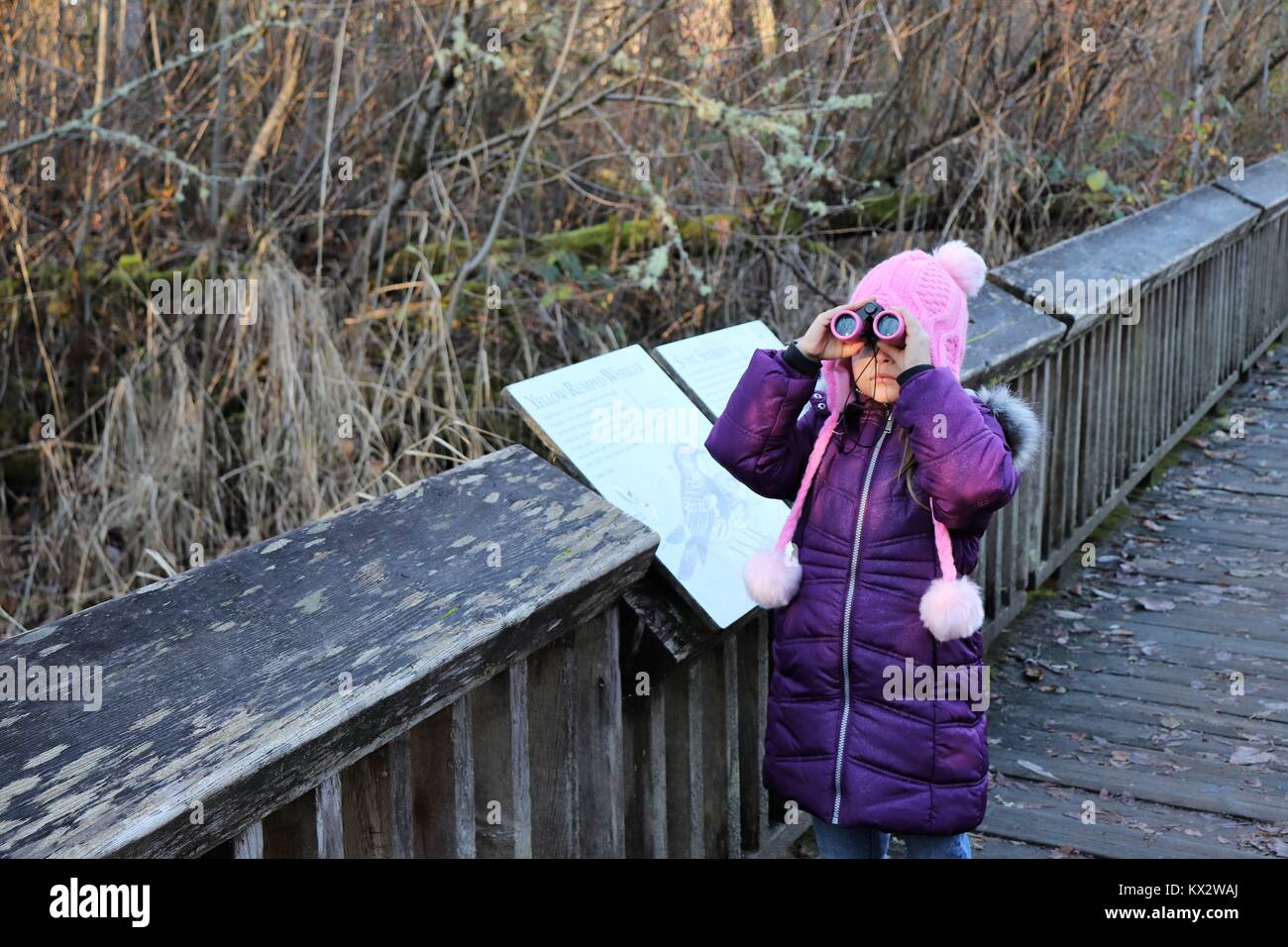 Young girl bird watching Stock Photo - Alamy