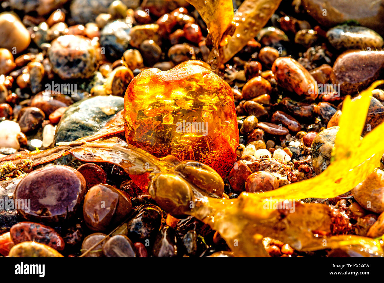 Amber on a beach of the Baltic Sea Stock Photo - Alamy