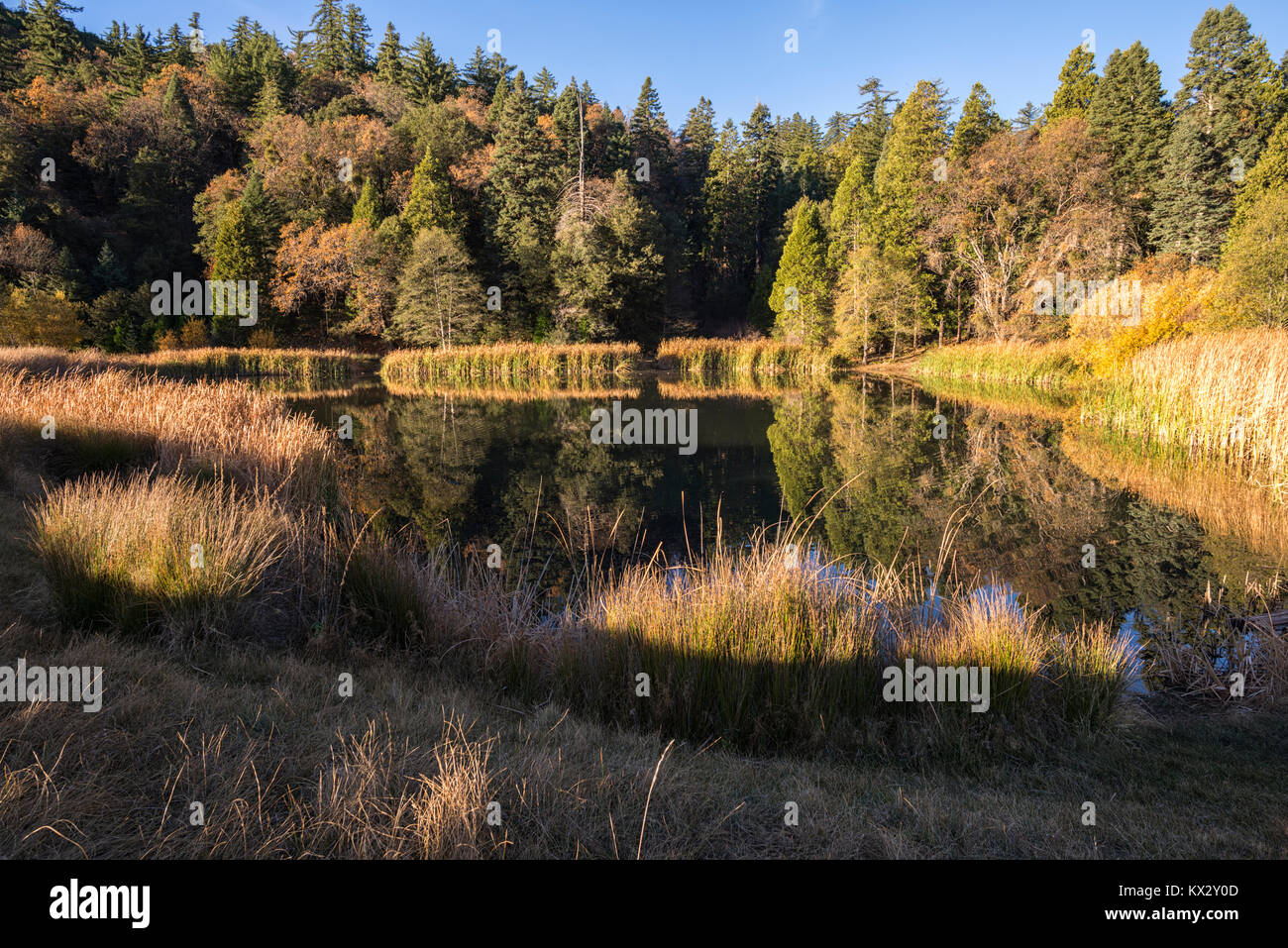View of Doane Pond photographed on an Autumn morning. Palomar Mountain ...
