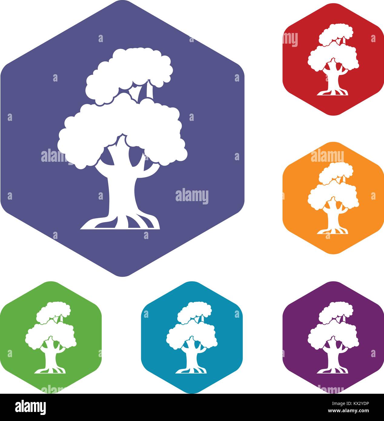 Oak icons set Stock Vector Image & Art - Alamy