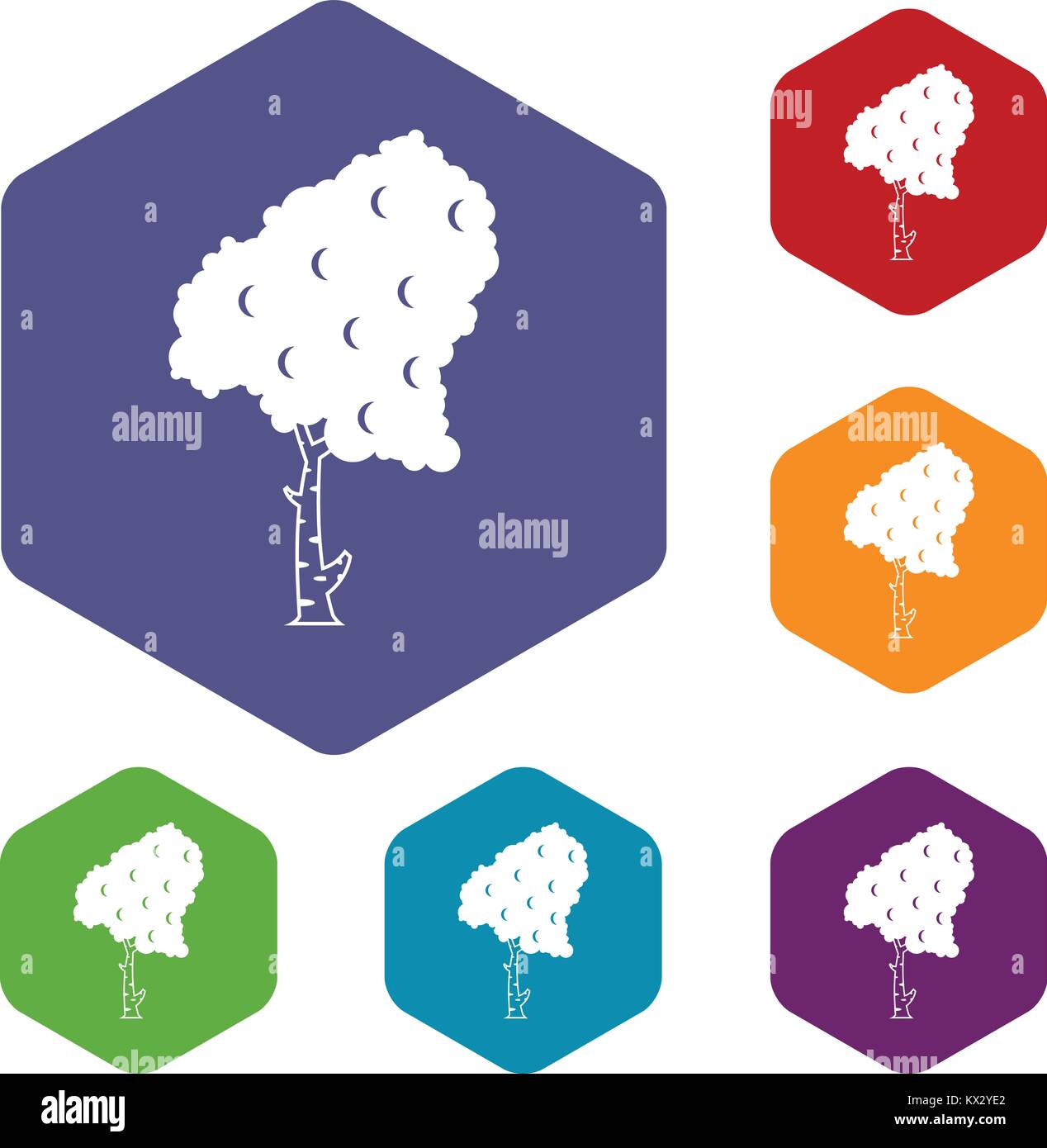 Birch icons set Stock Vector Image & Art - Alamy