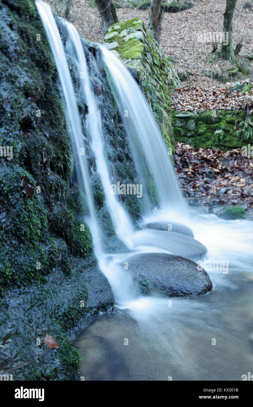 Waterfall in the forest Stock Photo - Alamy