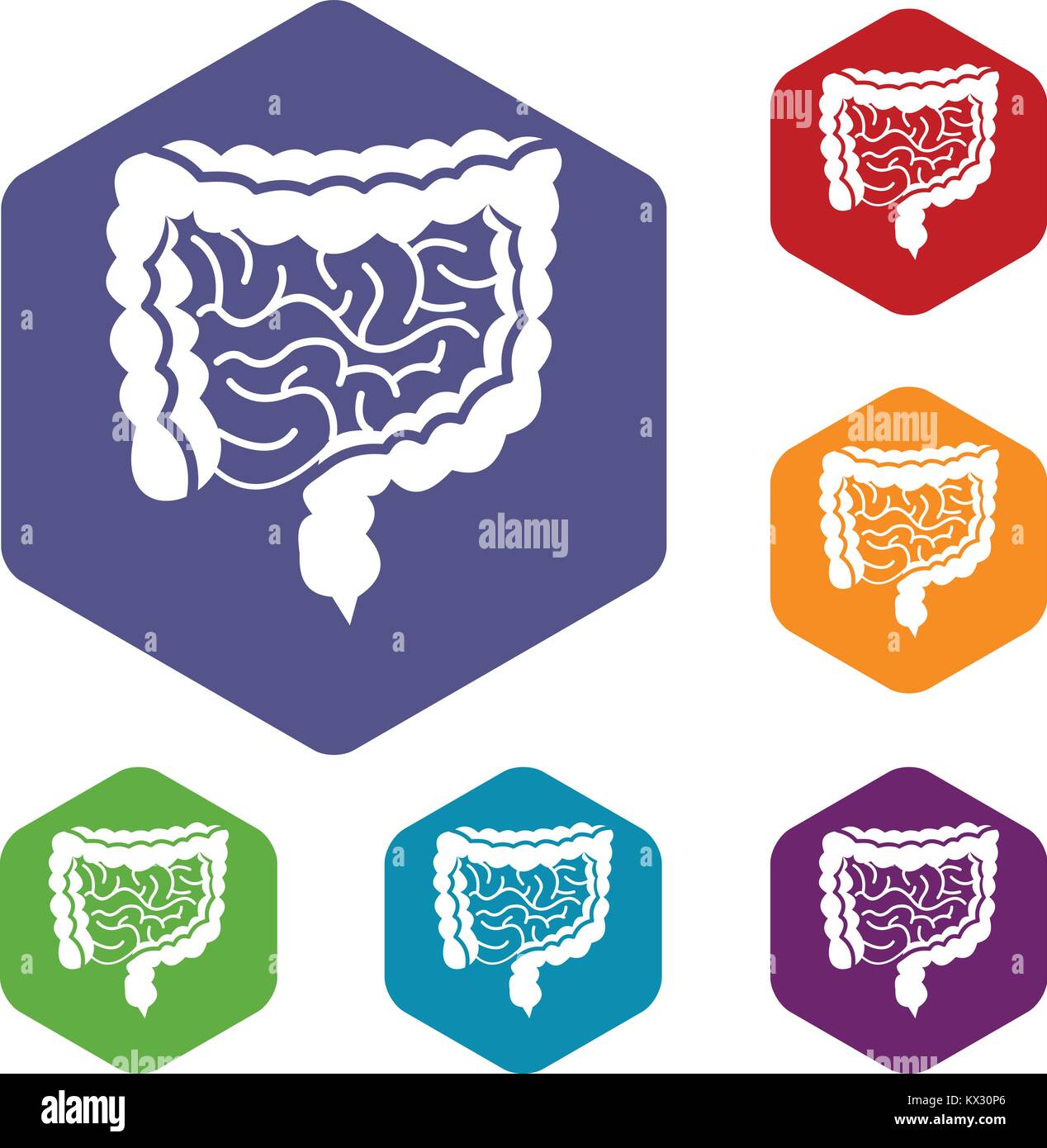Intestines icons set Stock Vector Image & Art - Alamy