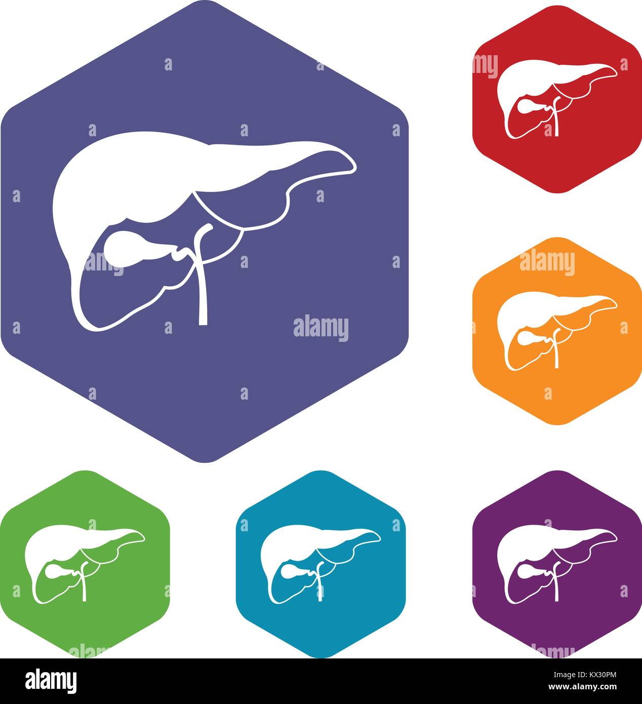 Liver icons set Stock Vector Image & Art - Alamy