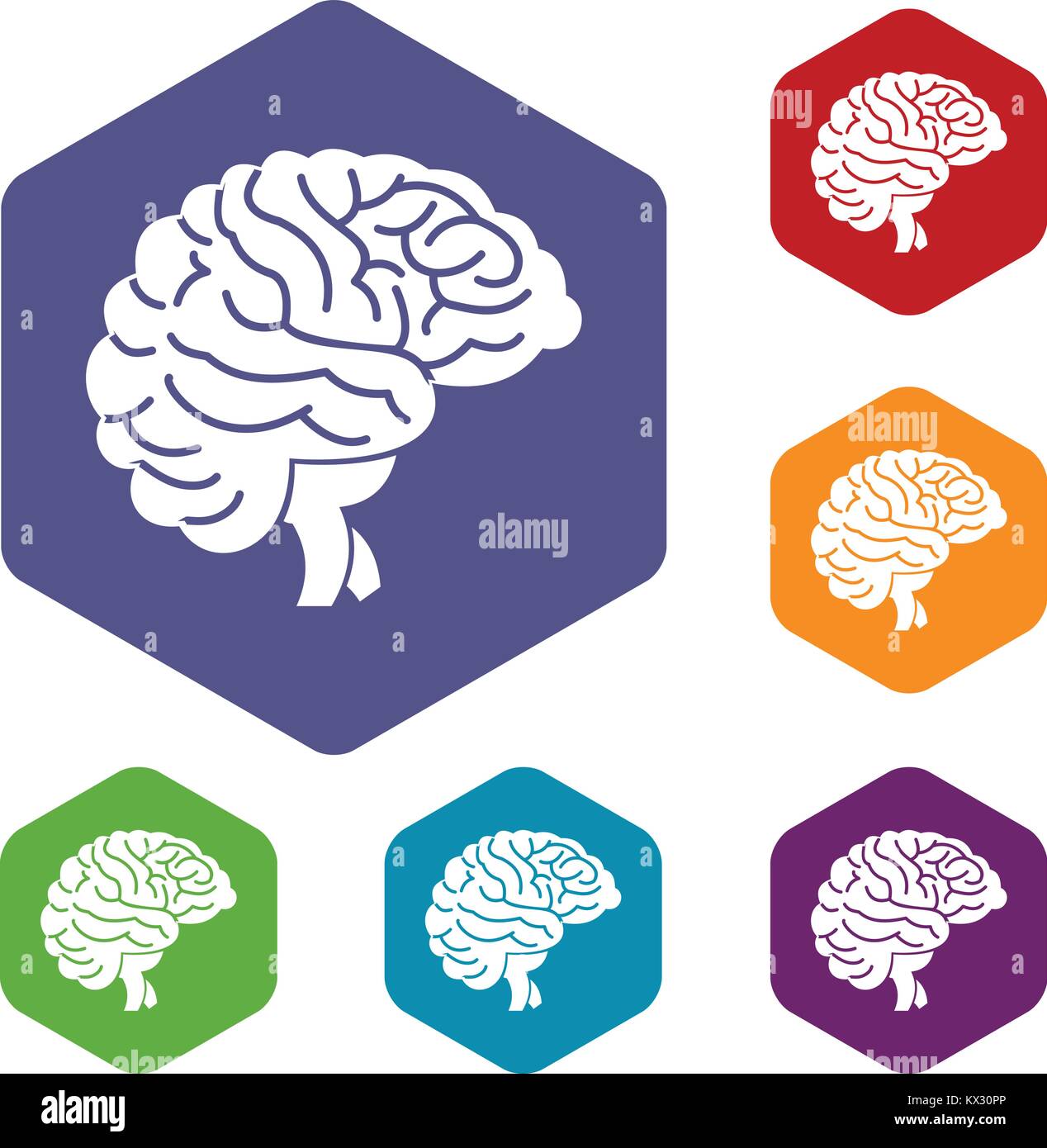 Brain icons set Stock Vector Image & Art - Alamy