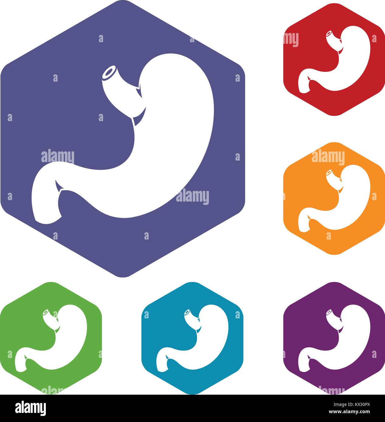 Stomach icons set Stock Vector Image & Art - Alamy