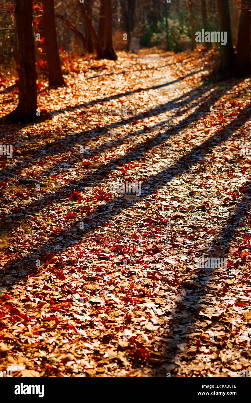 Colorful fall scenery Stock Photo - Alamy