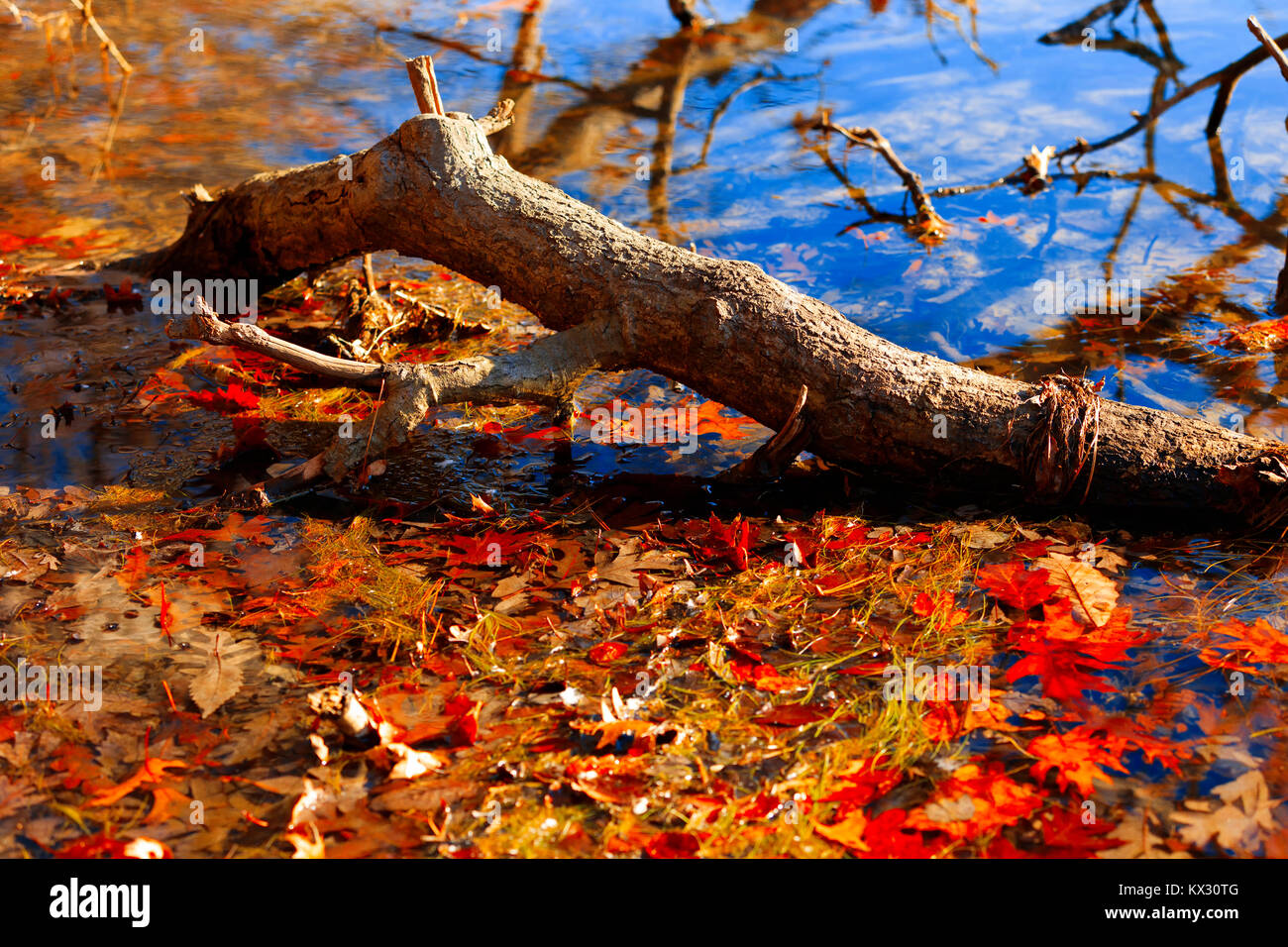 Colorful fall scenery Stock Photo - Alamy