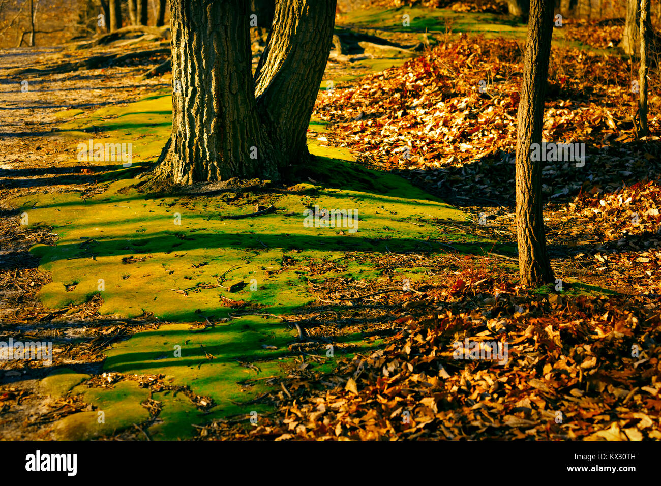 Colorful fall scenery Stock Photo - Alamy
